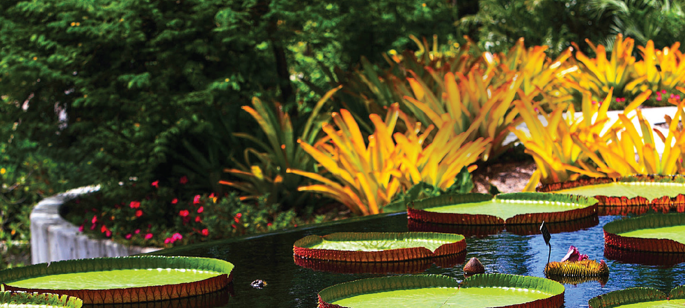 Visit | Naples Botanical Garden