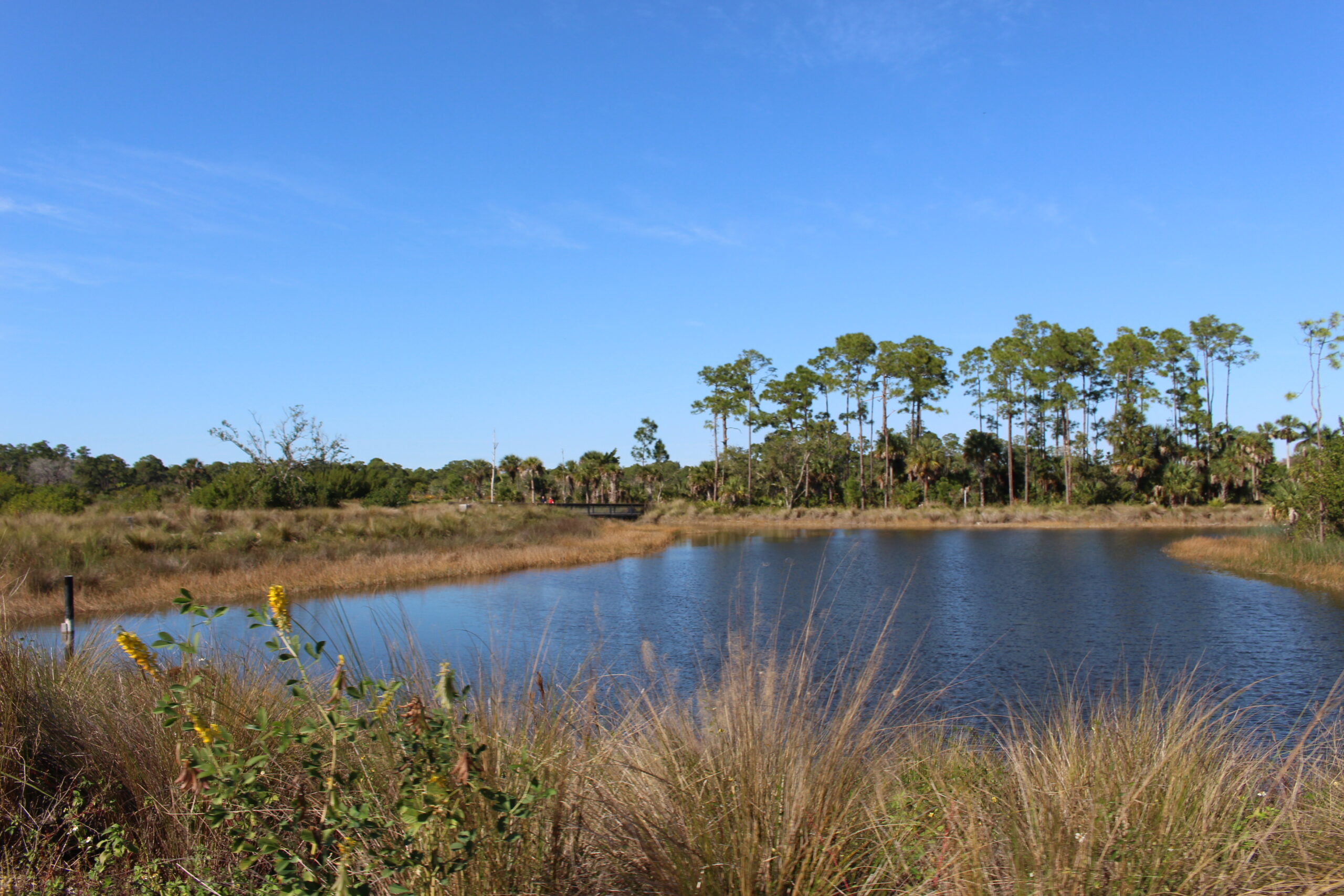 Cancelled: Local Ecological Issues: Hurricane Impacts on Coastal ...