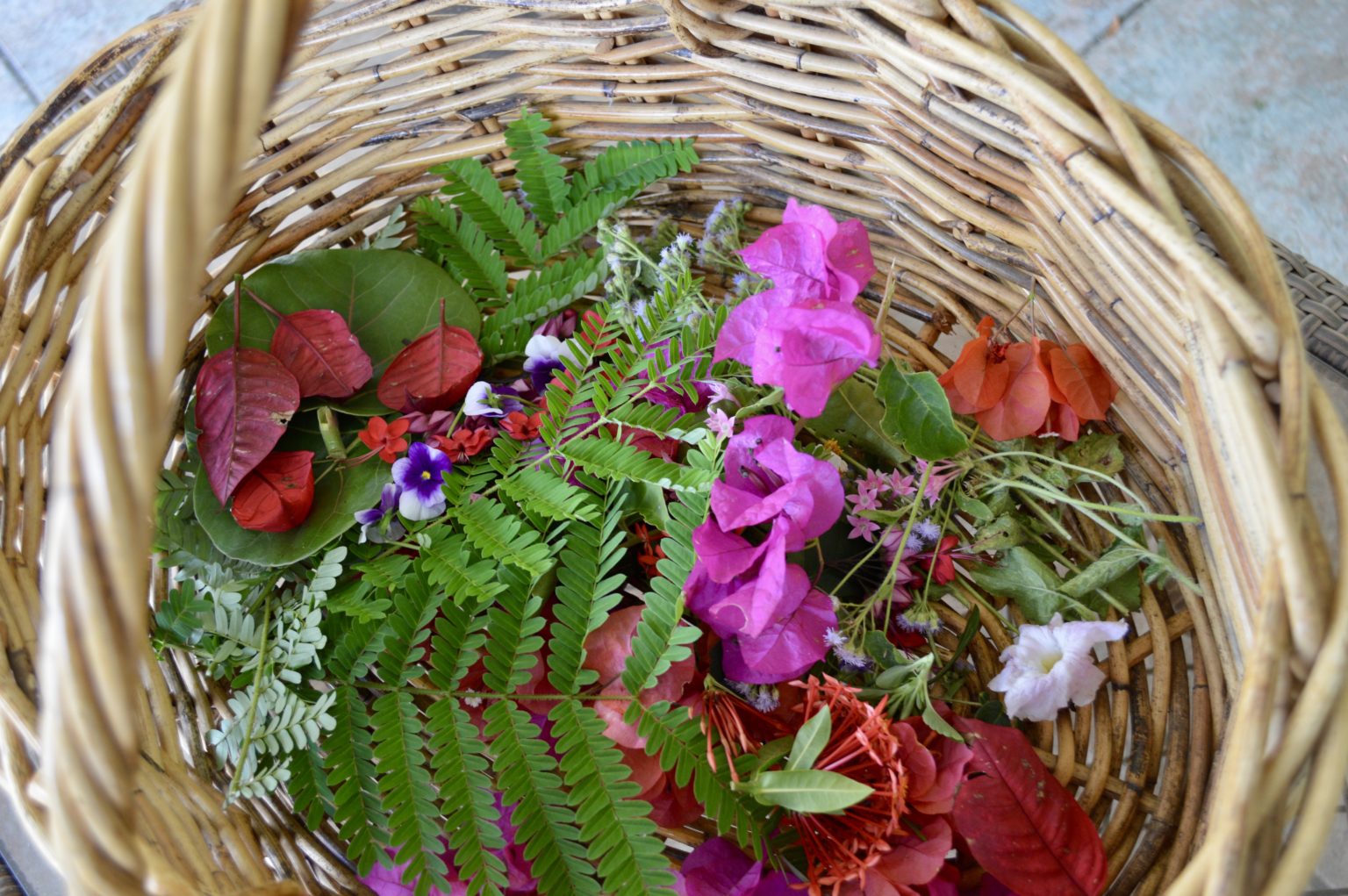The unexpected art of flower pounding | Naples Botanical Garden