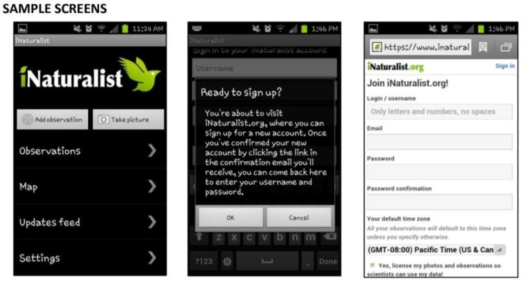How to use iNaturalist | Naples Botanical Garden