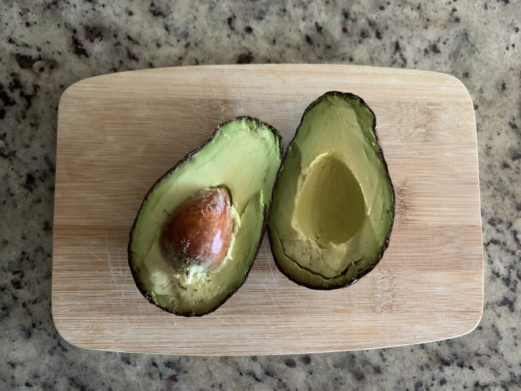 Container Gardening: Growing Your Own Avocado Tree | Naples Botanical ...