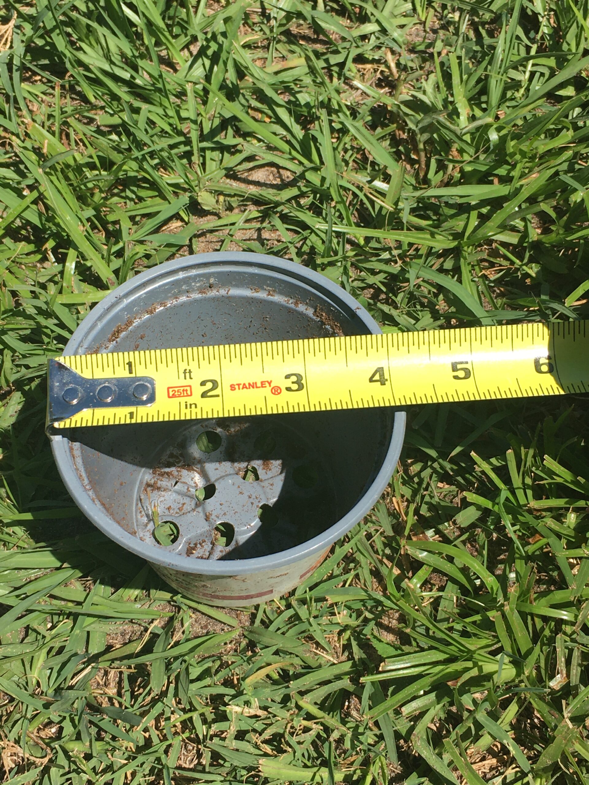 Container Gardening - Selecting your Container | Naples Botanical Garden