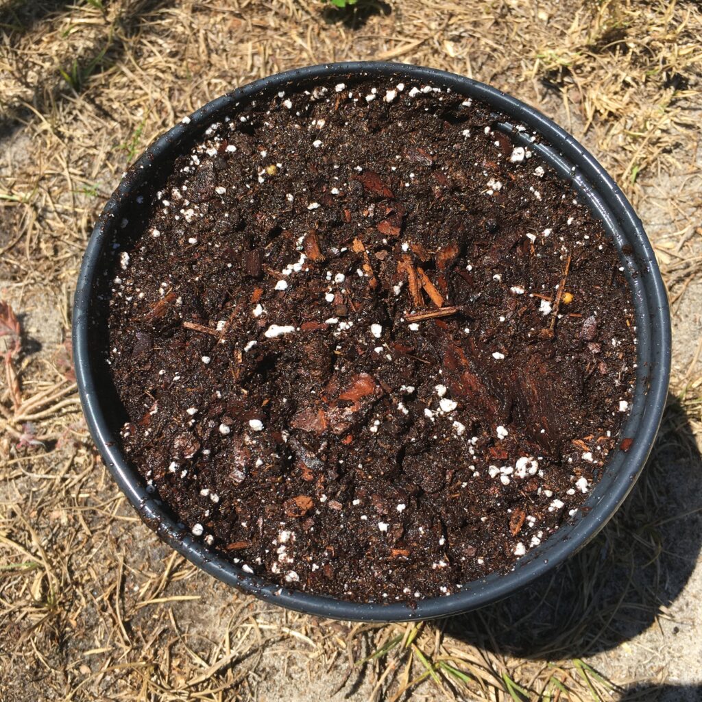 Container Gardening - Preparing your Container | Naples Botanical Garden