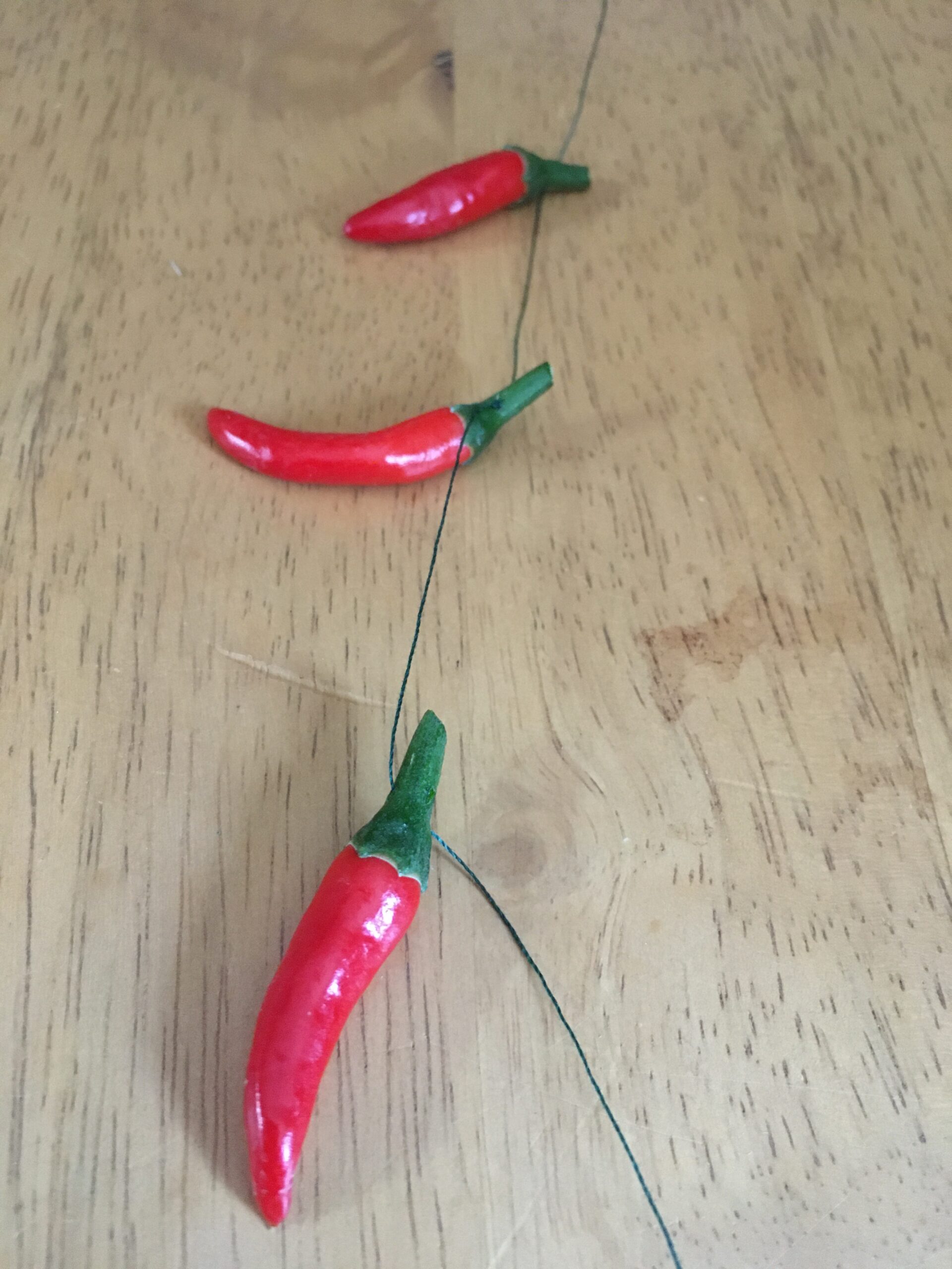 Container Gardening: Drying Peppers | Naples Botanical Garden
