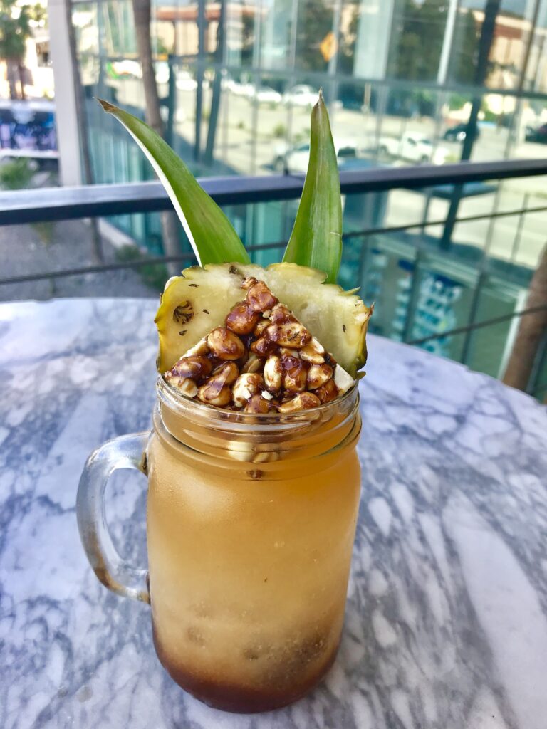 Tepache | Naples Botanical Garden