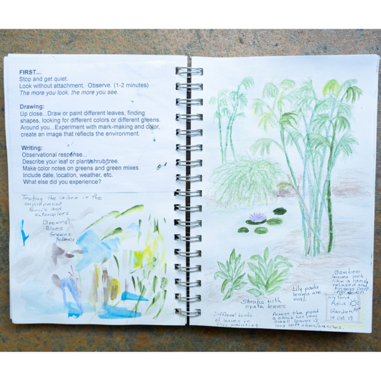How to Observe Nature | Naples Botanical Garden