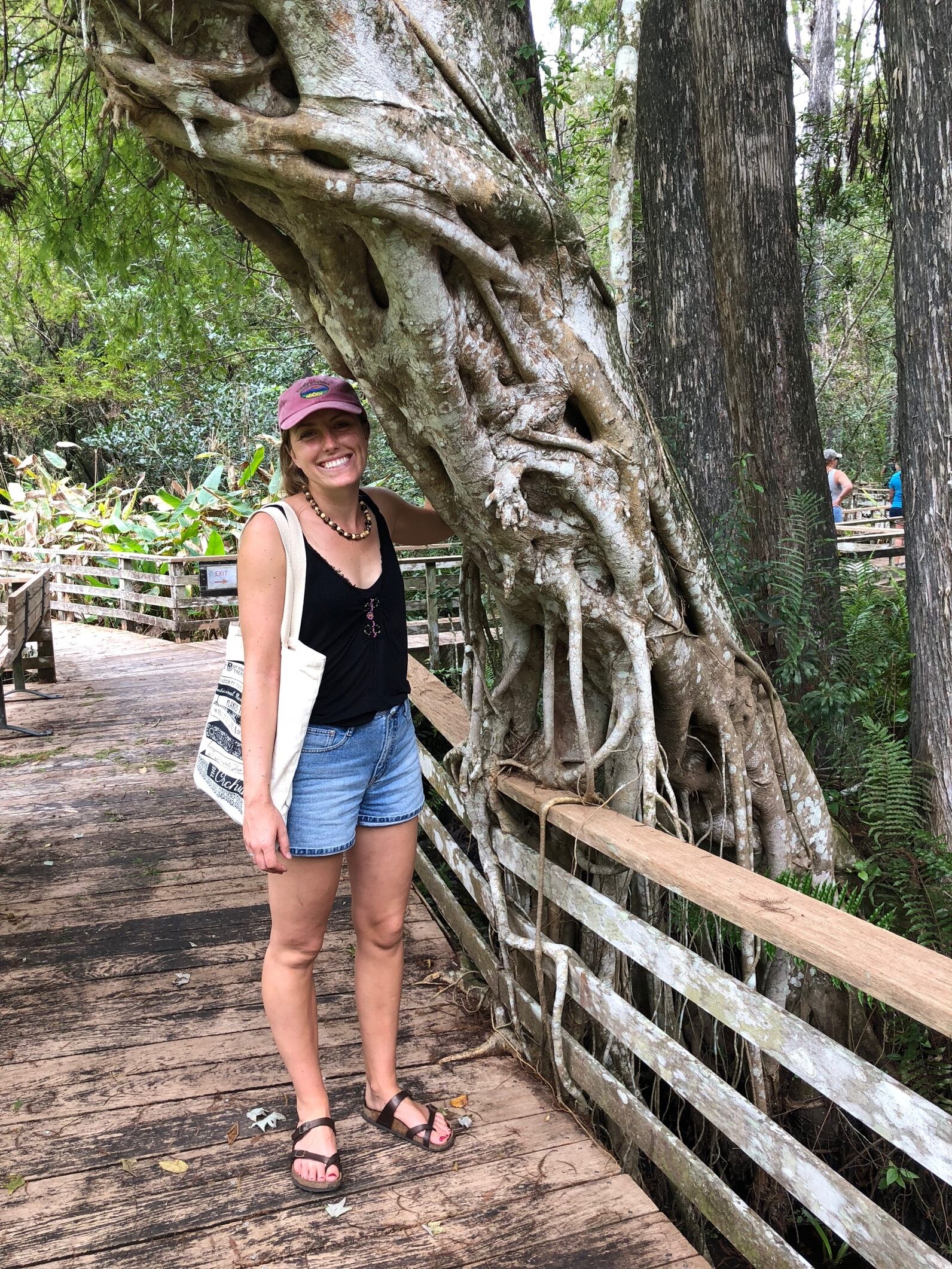 Why We are Aflame over Protecting Biodiversity Hotspots | Naples ...