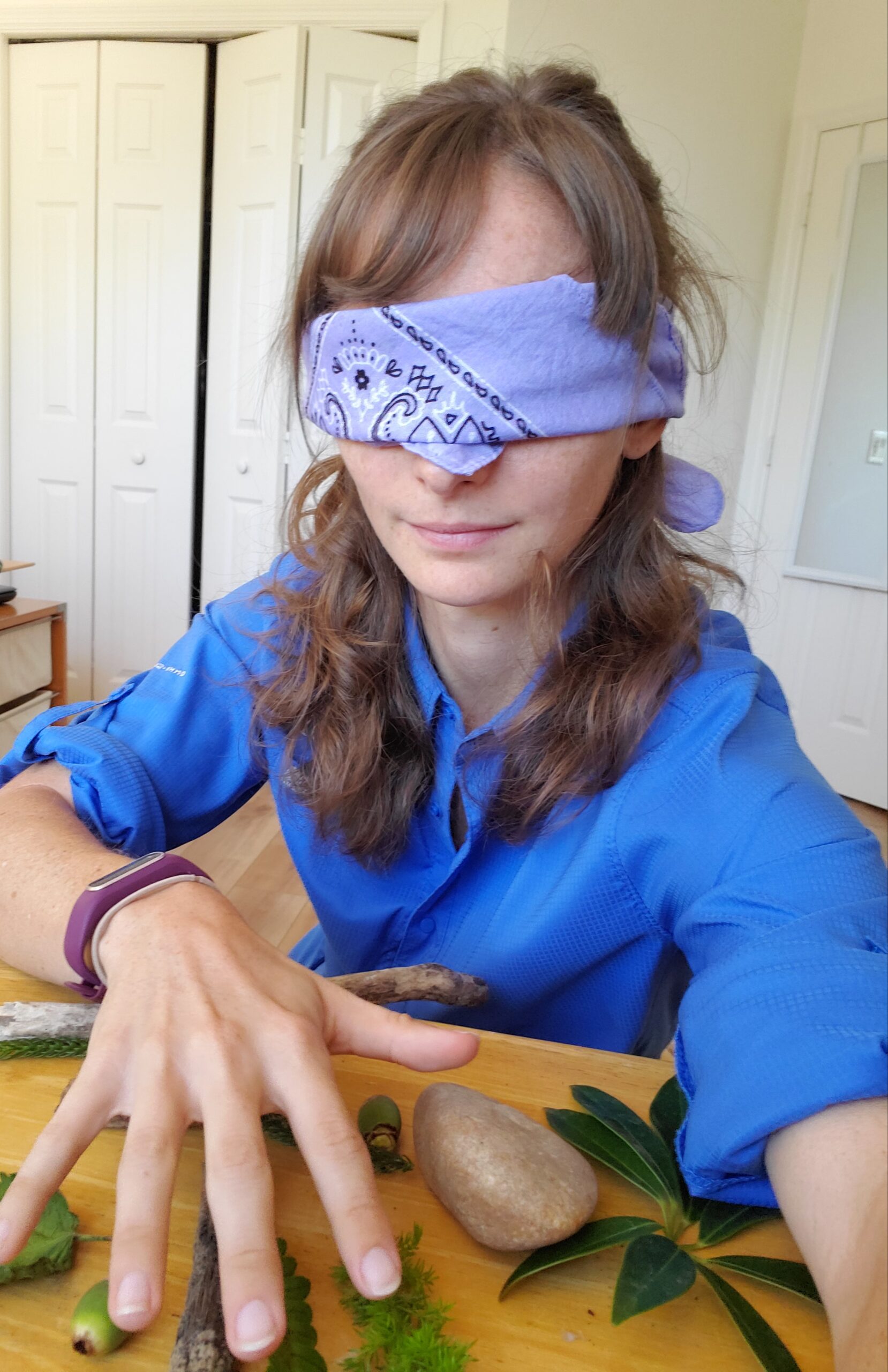 Tactile nature matching game | Naples Botanical Garden