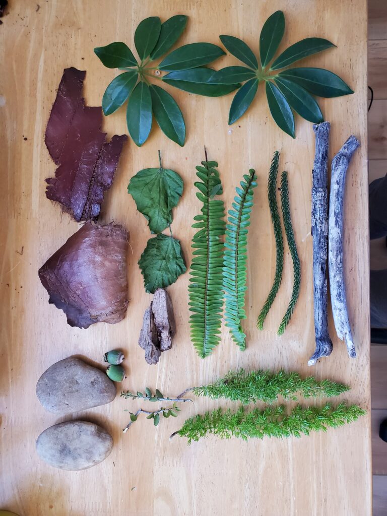 Tactile nature matching game | Naples Botanical Garden