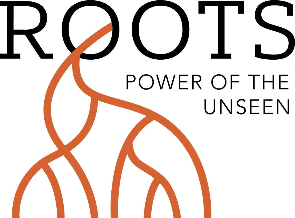 Steve Tobin: Nature Underground | Naples Botanical Garden