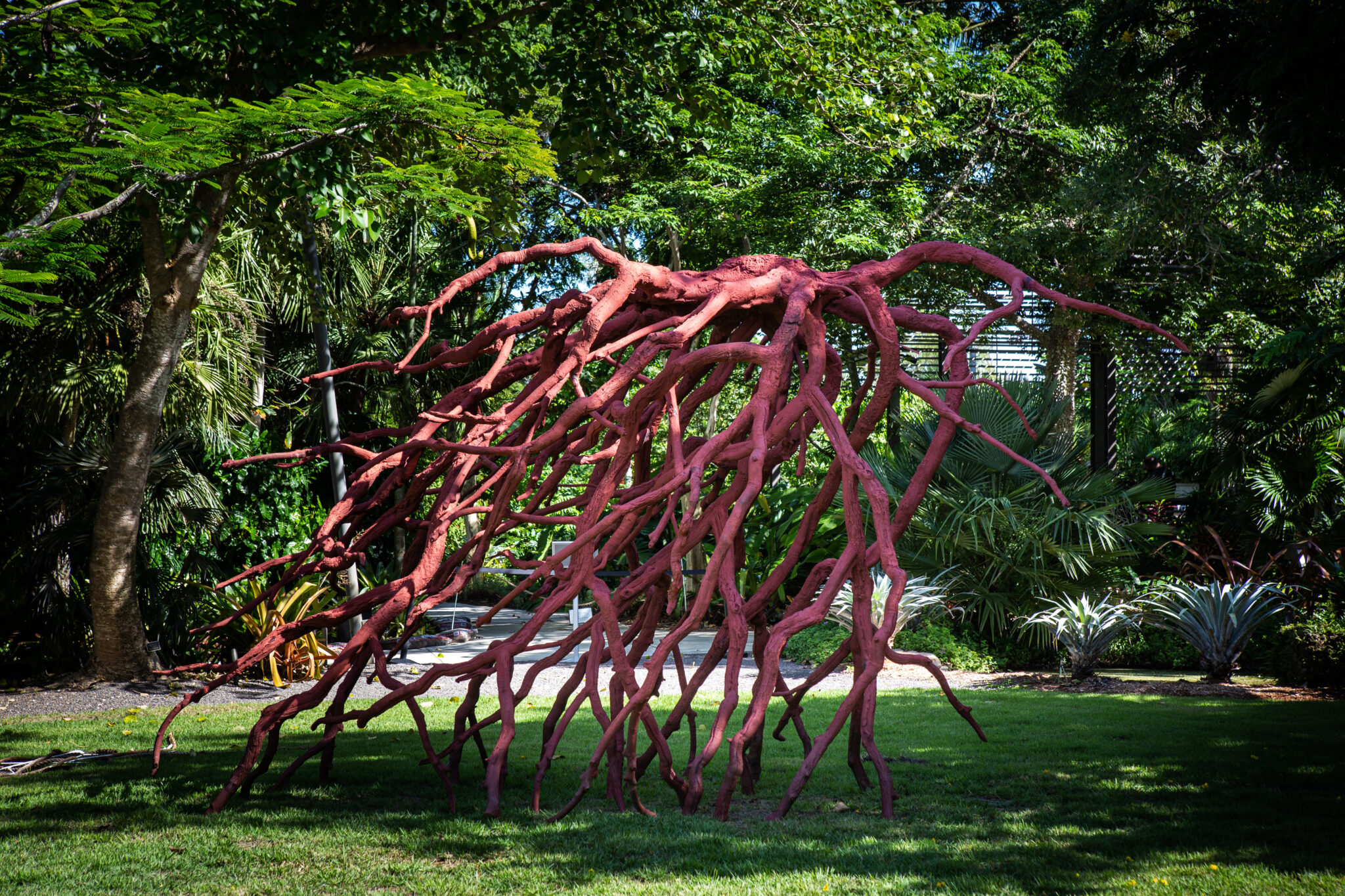 Nature, unearthed: artist’s guide to the exhibition | Naples Botanical ...