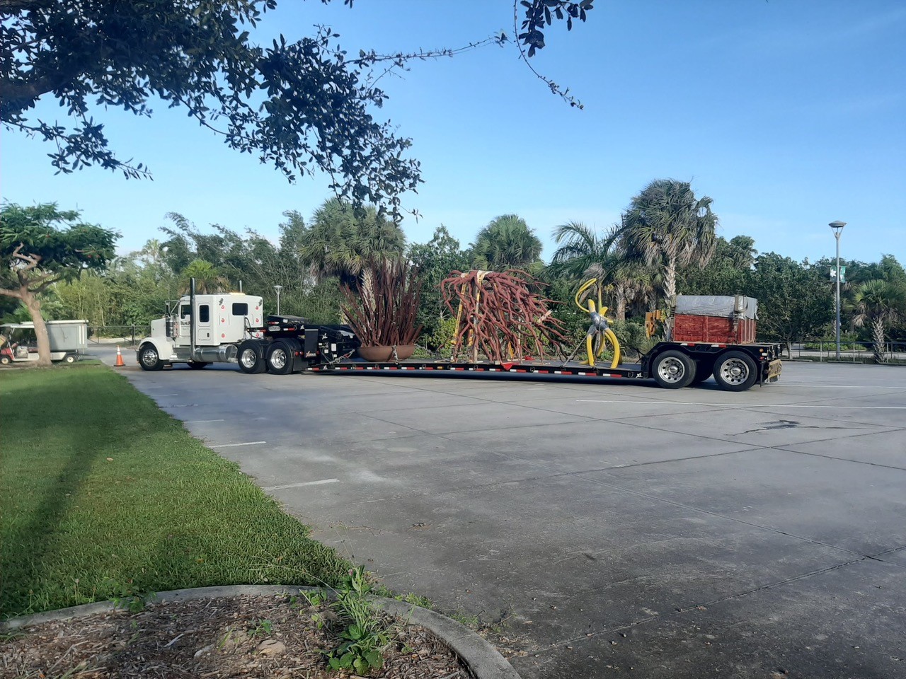 Steve Tobin: Nature Underground | Naples Botanical Garden