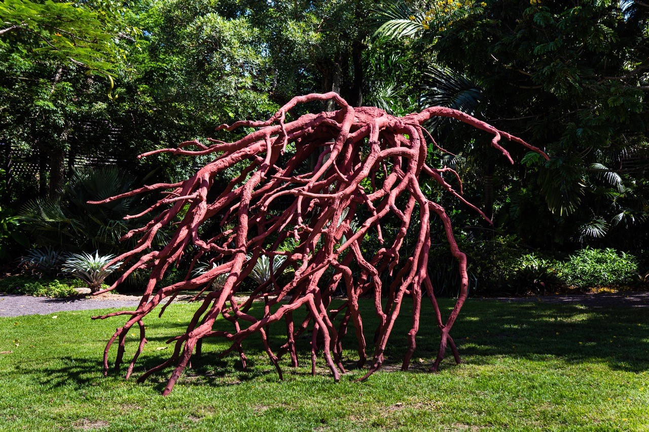 Steve Tobin: Nature Underground | Naples Botanical Garden