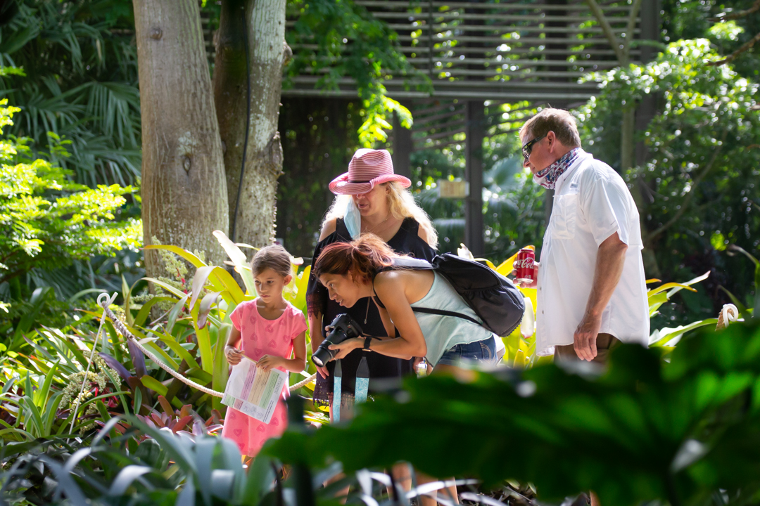 What is a Naturalist? | Naples Botanical Garden