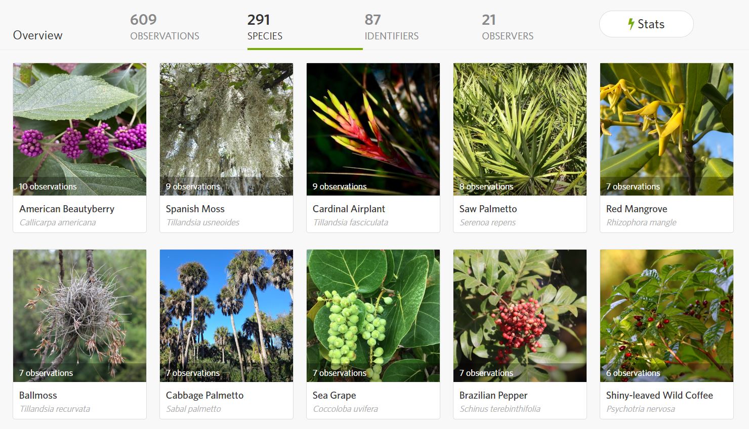 Most Observed Species During Project Stay Planted 2021 | Naples ...