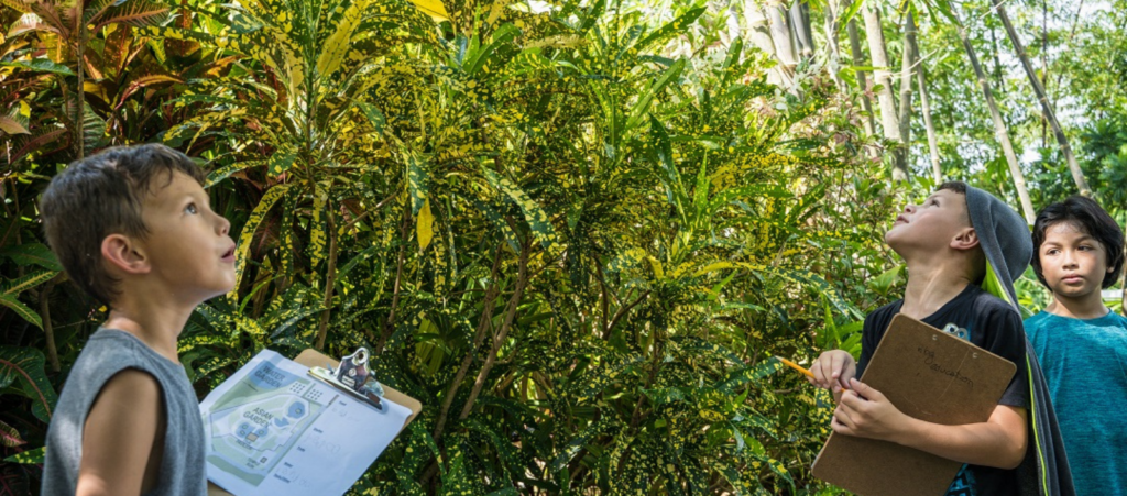 Field Trip Program Options & Registration | Naples Botanical Garden