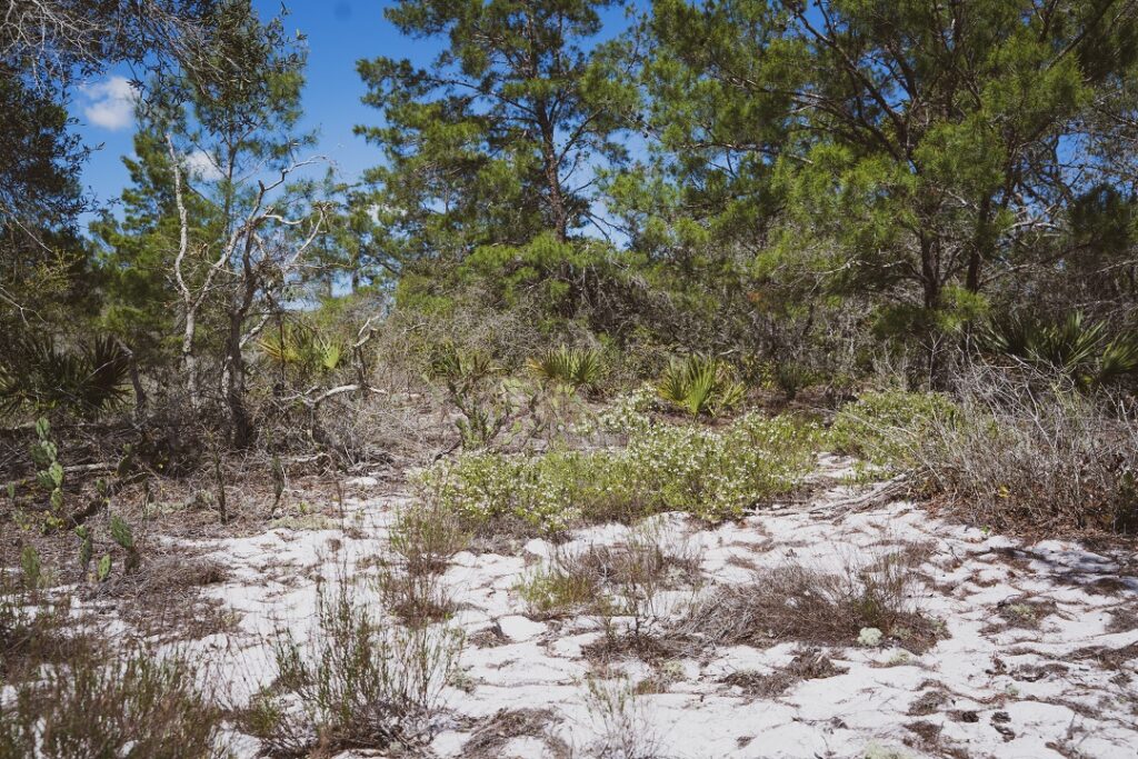 Florida’s Prime Real Estate | Naples Botanical Garden