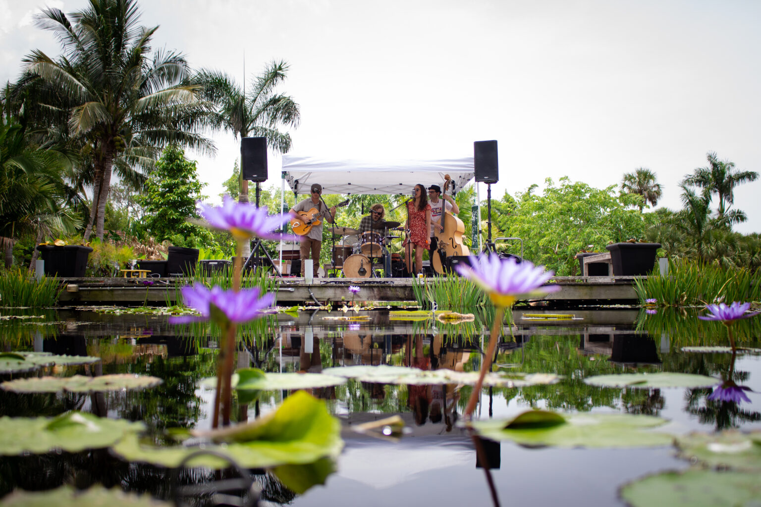 Music in the Garden | Naples Botanical Garden