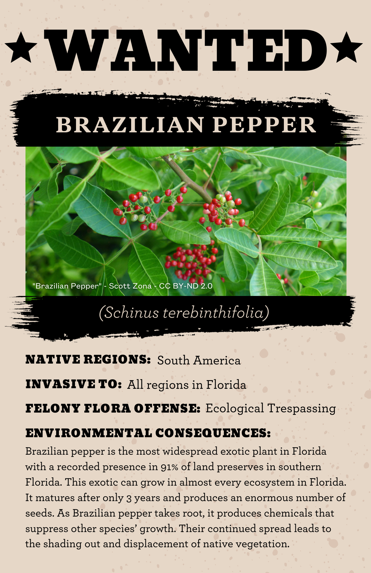 Most Wanted Invasive Species | Naples Botanical Garden