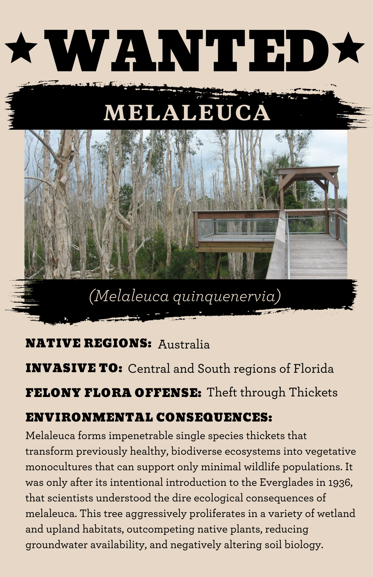 Most Wanted Invasive Species | Naples Botanical Garden