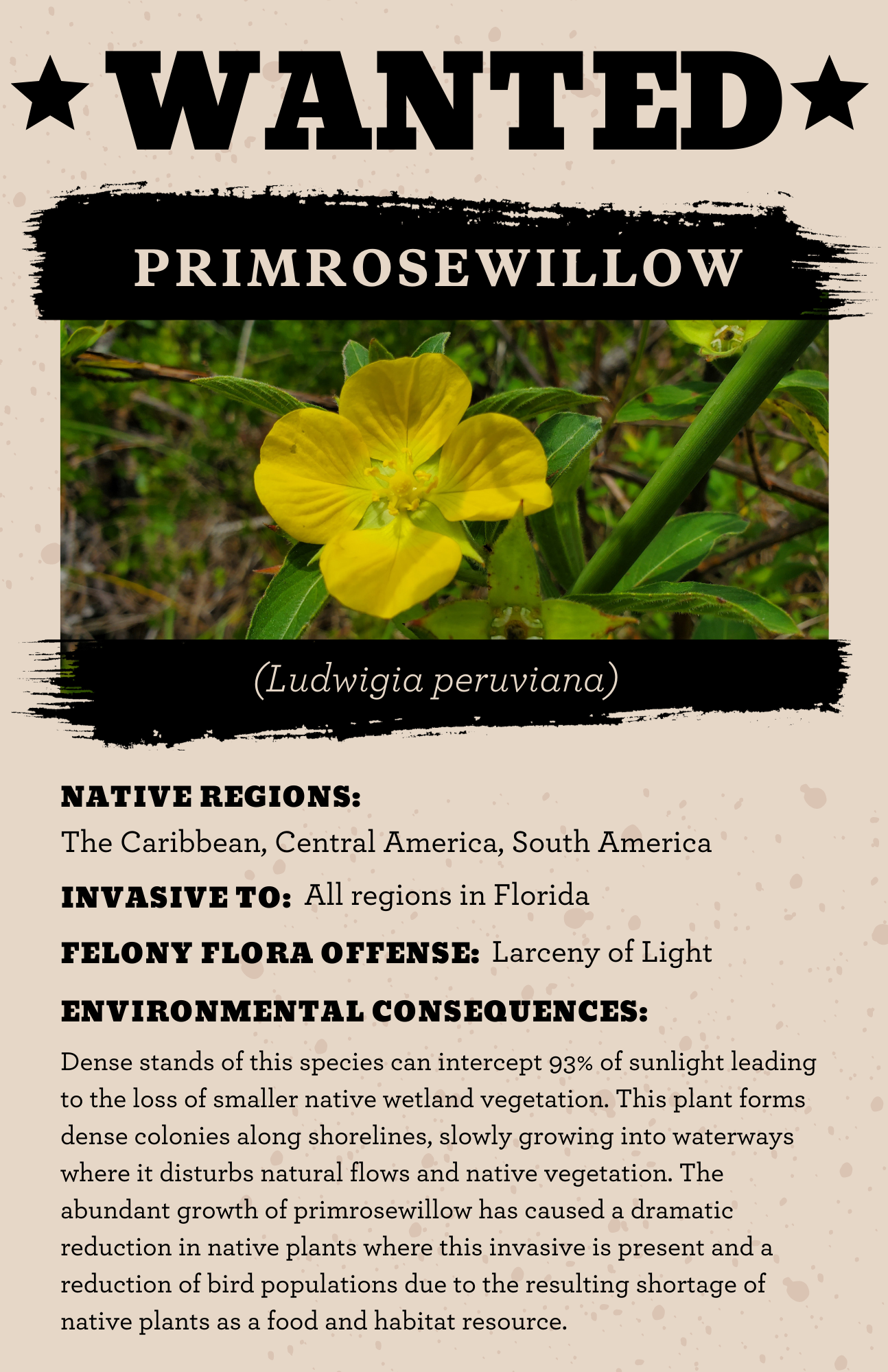 Most Wanted Invasive Species | Naples Botanical Garden