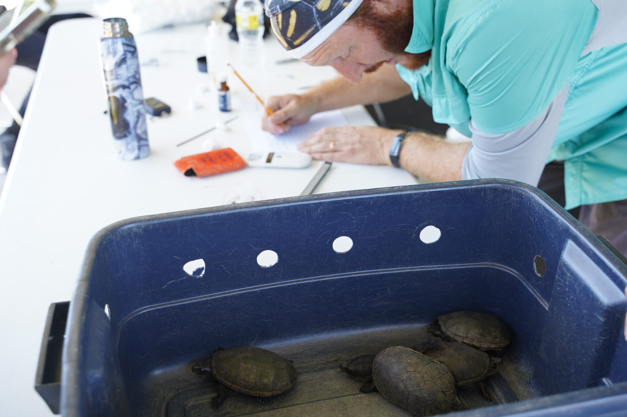 Poached Turtles Get Second Chance in the Garden | Naples Botanical Garden