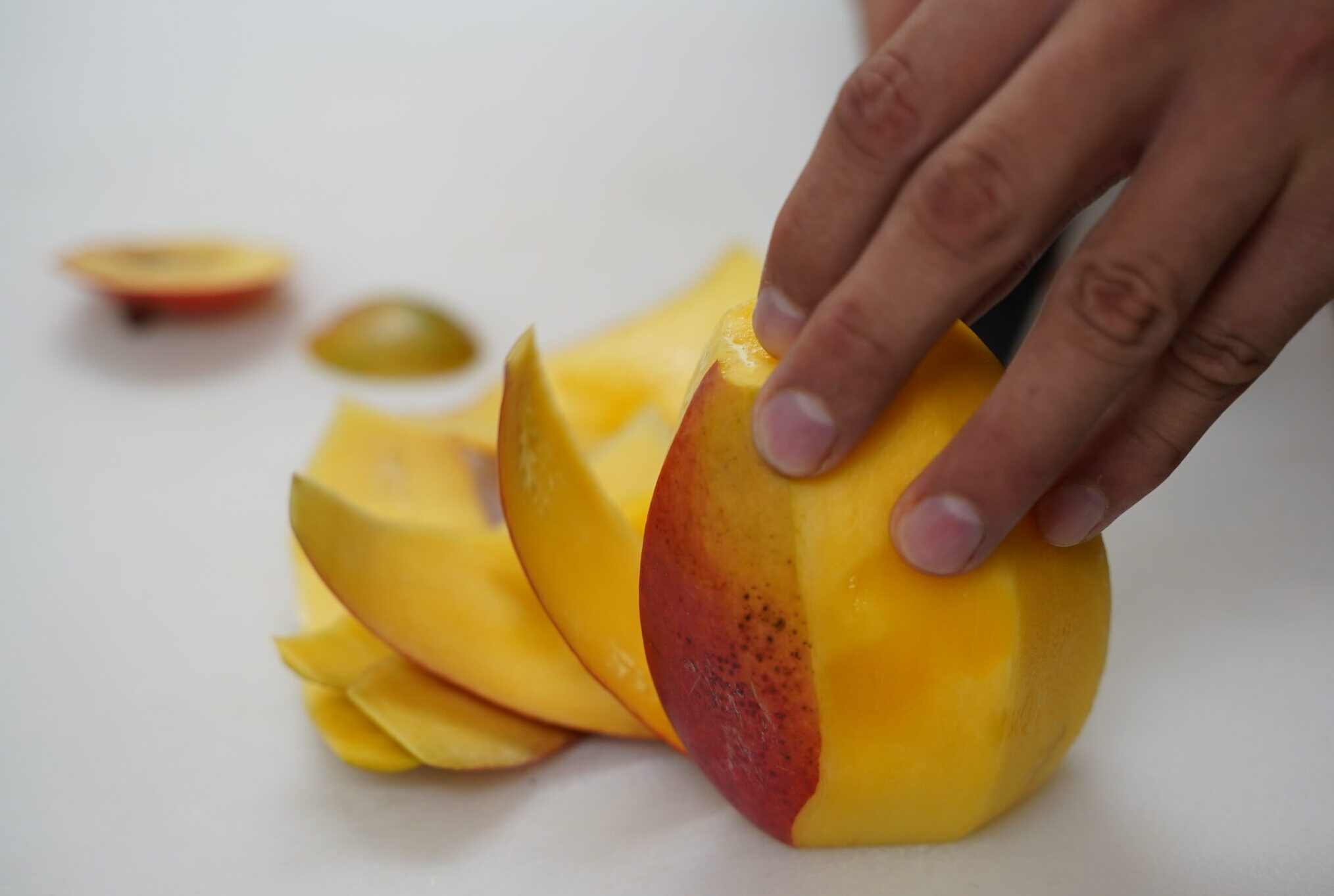 Mango Margarita with a Twist | Naples Botanical Garden