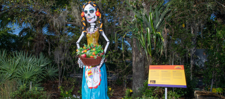 Creating Catrina | Naples Botanical Garden