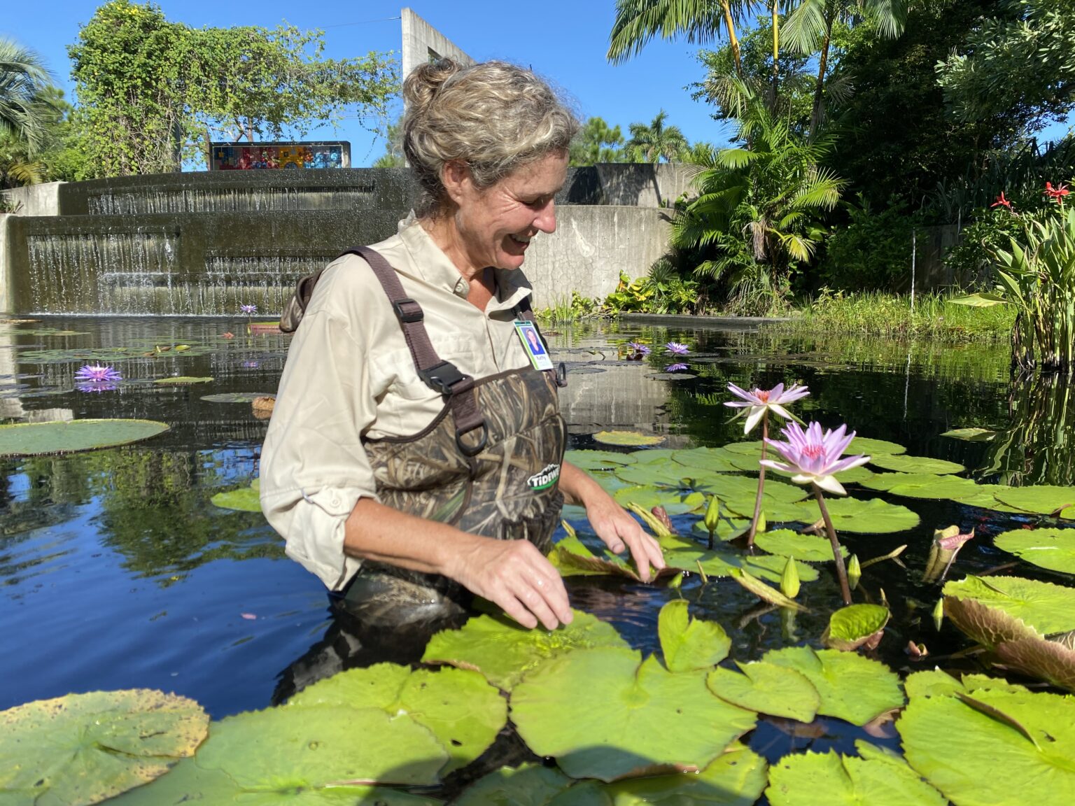 Your Water Garden at Home | Naples Botanical Garden