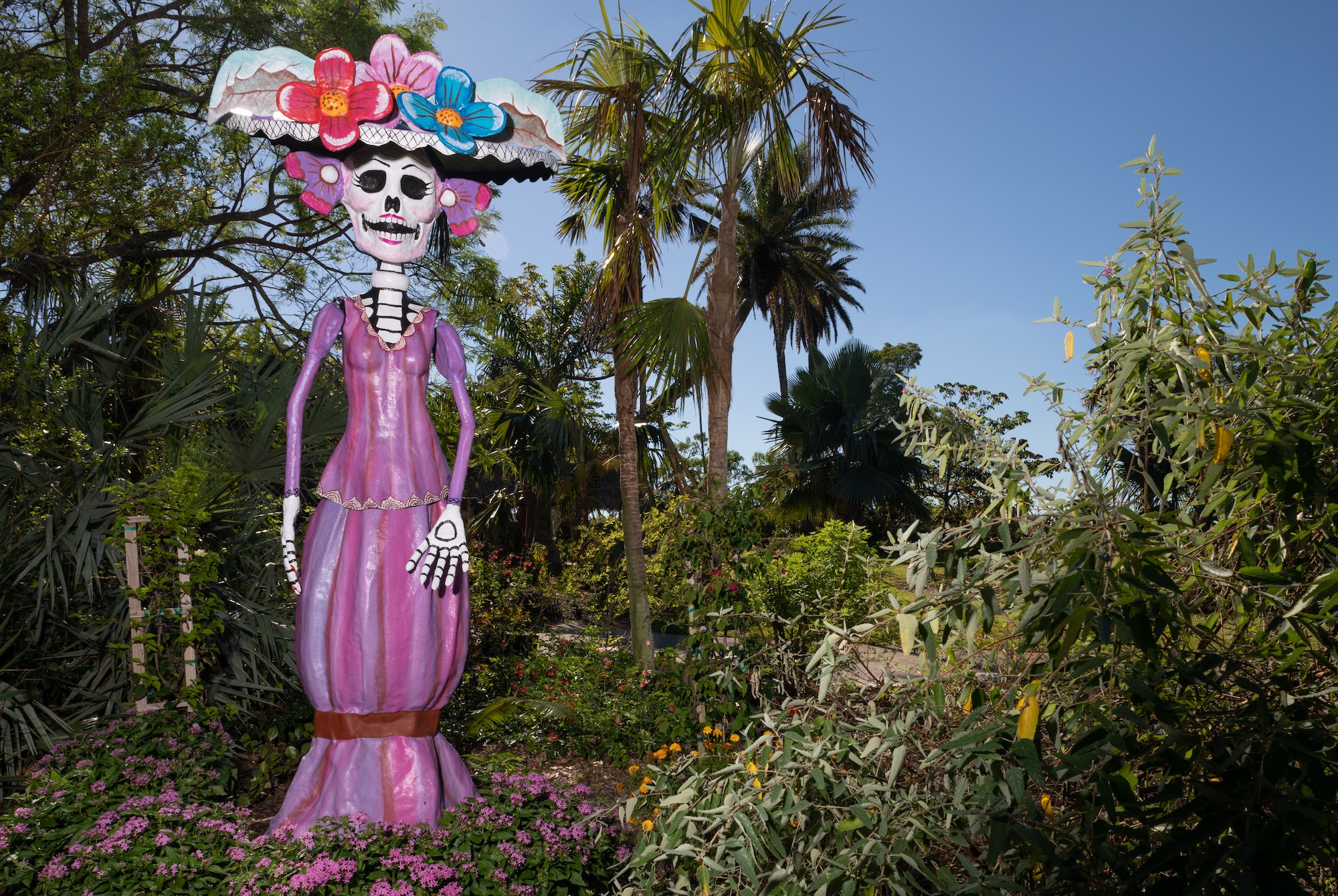 Creating Catrina | Naples Botanical Garden