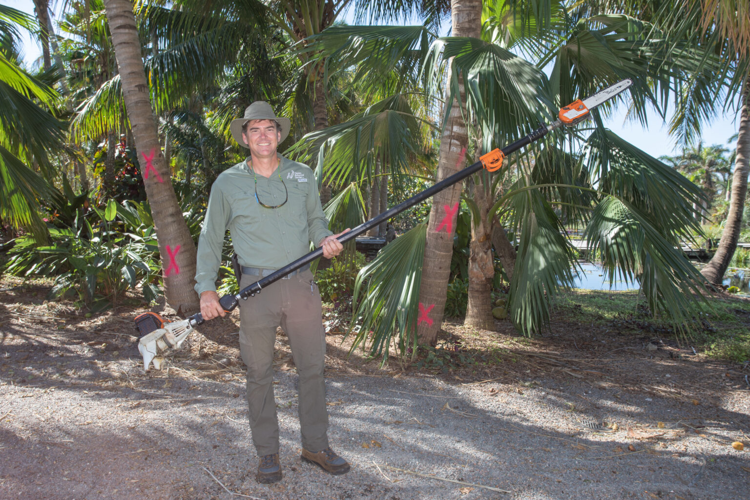 10 Tips to Heal Your Home Landscape From Salt and Wind Damage | Naples ...