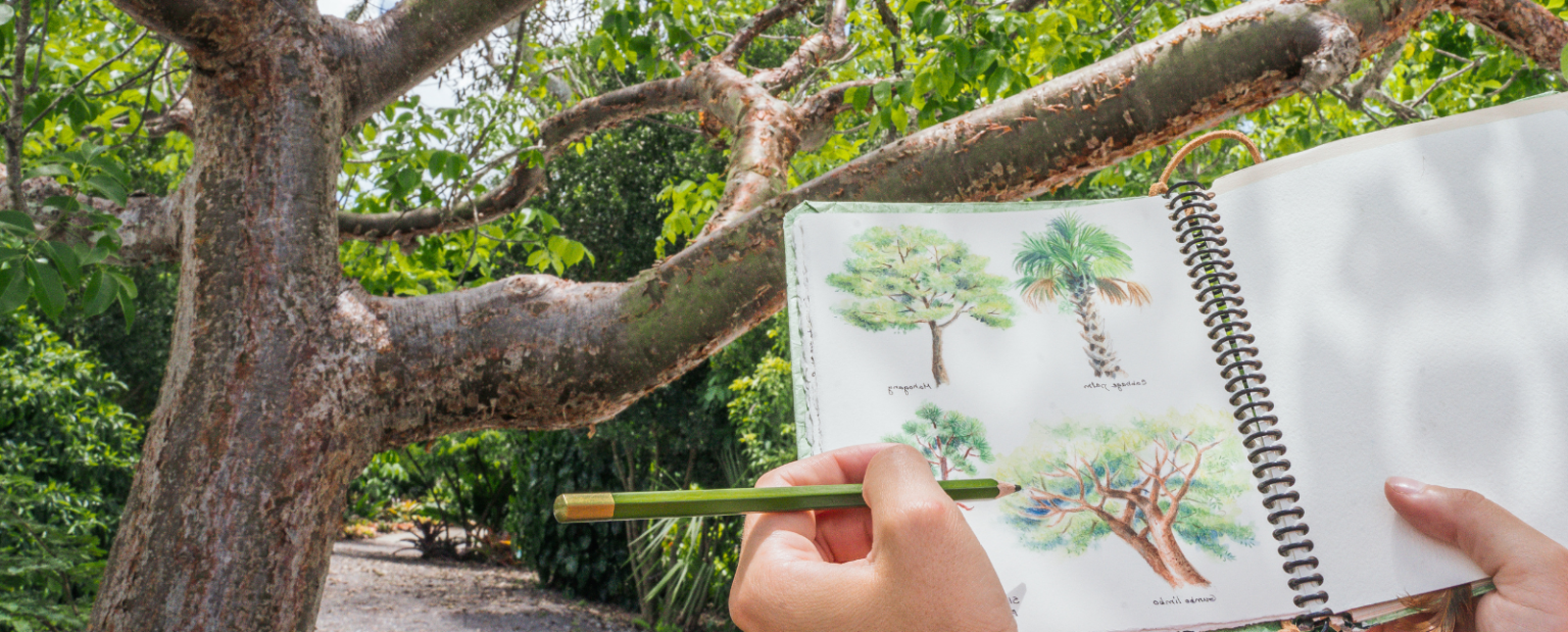 Nature Journaling | Naples Botanical Garden