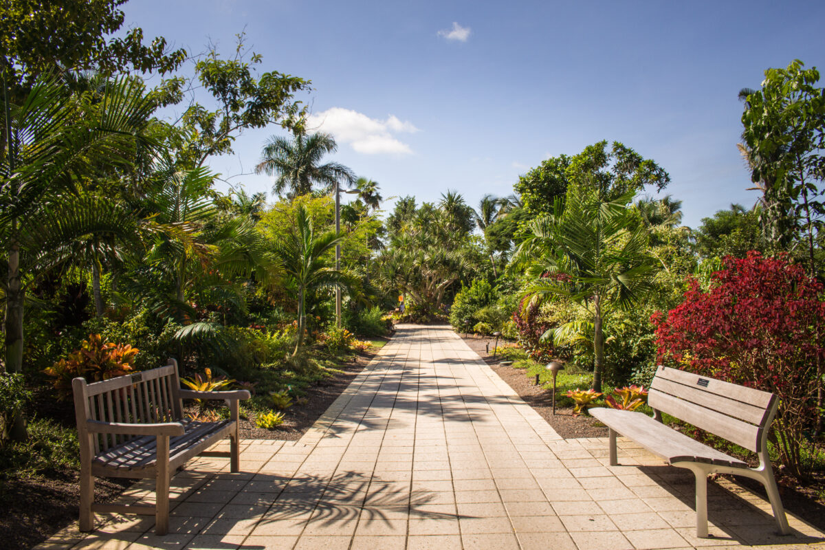 Purchase your tickets to Naples Botanical Garden | Naples Botanical Garden
