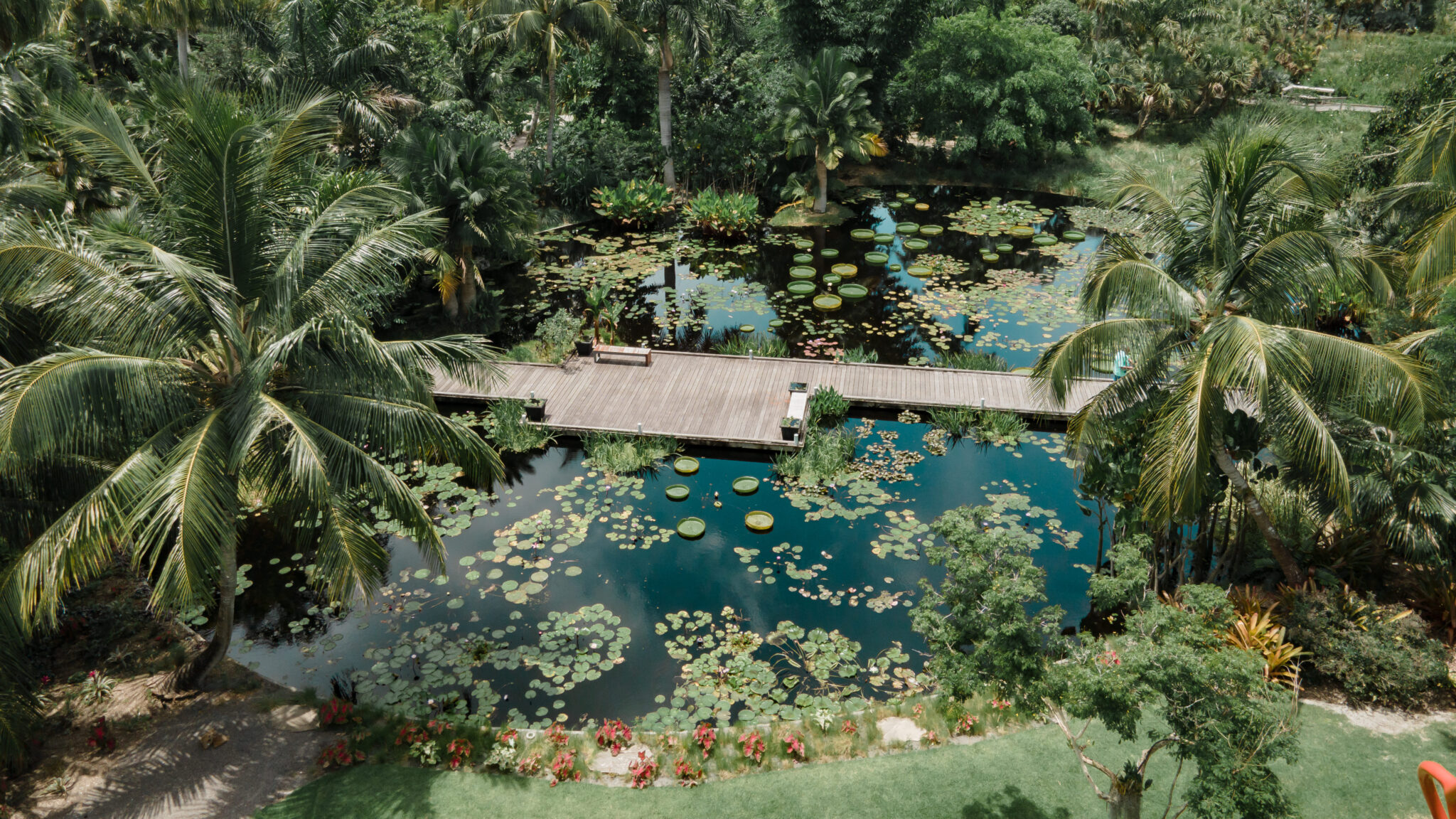 Water Garden & Performance Lawn | Naples Botanical Garden