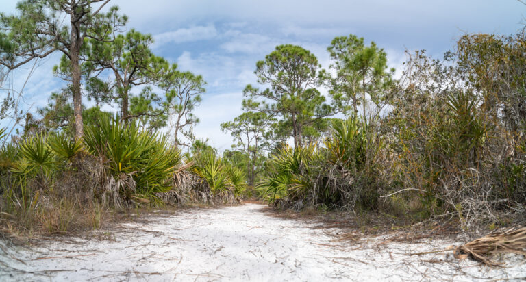 Conservation | Naples Botanical Garden