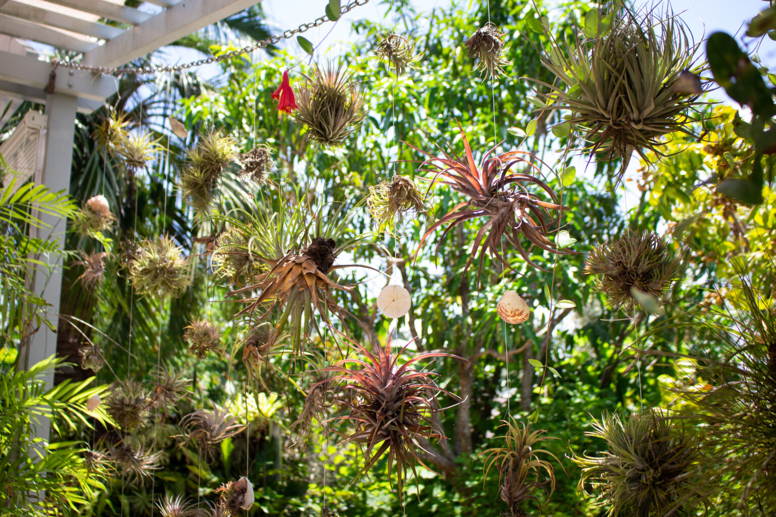 Naples Garden Club Idea Garden | Naples Botanical Garden