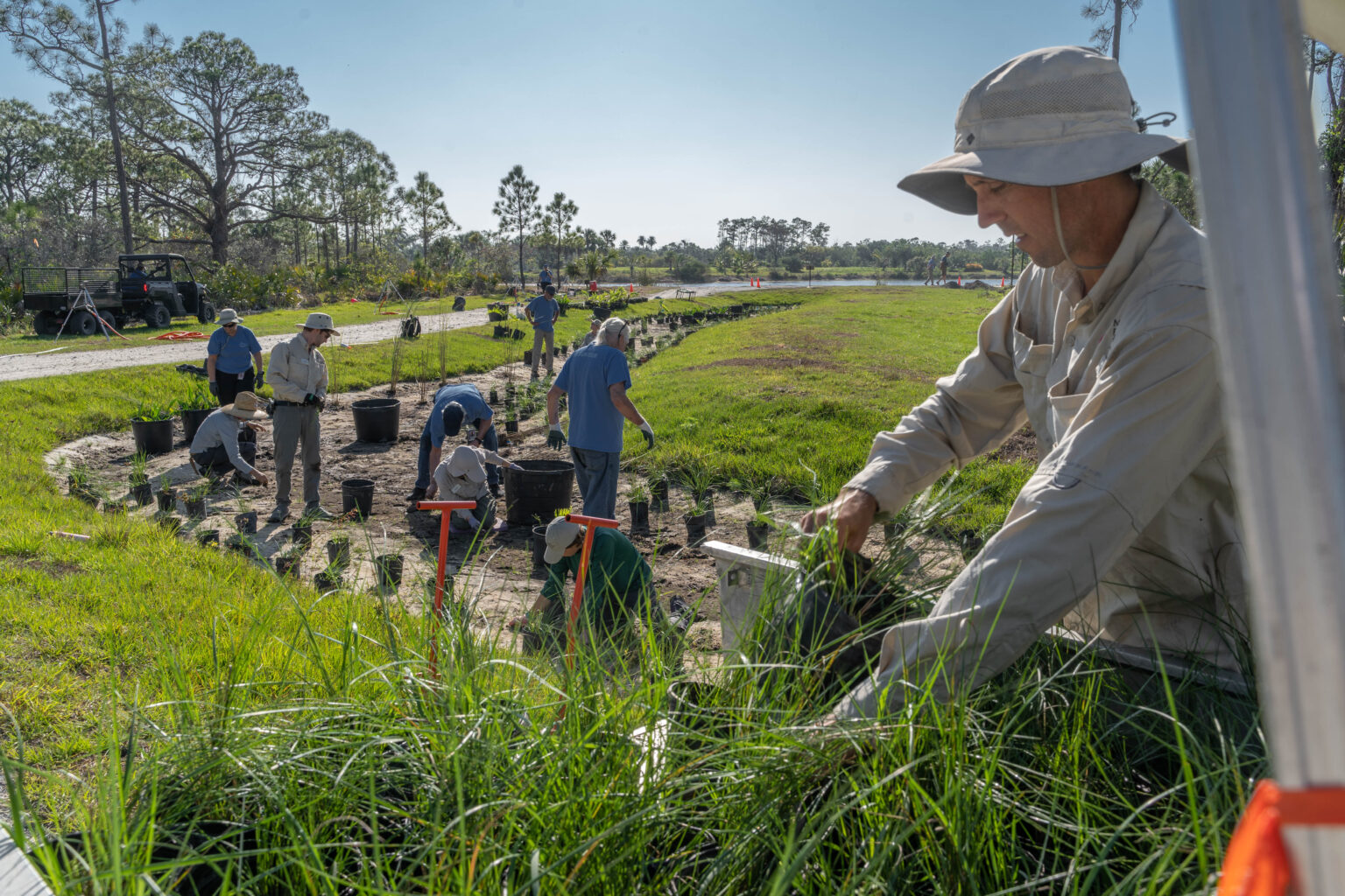 Hamilton Avenue Bioswale | Naples Botanical Garden