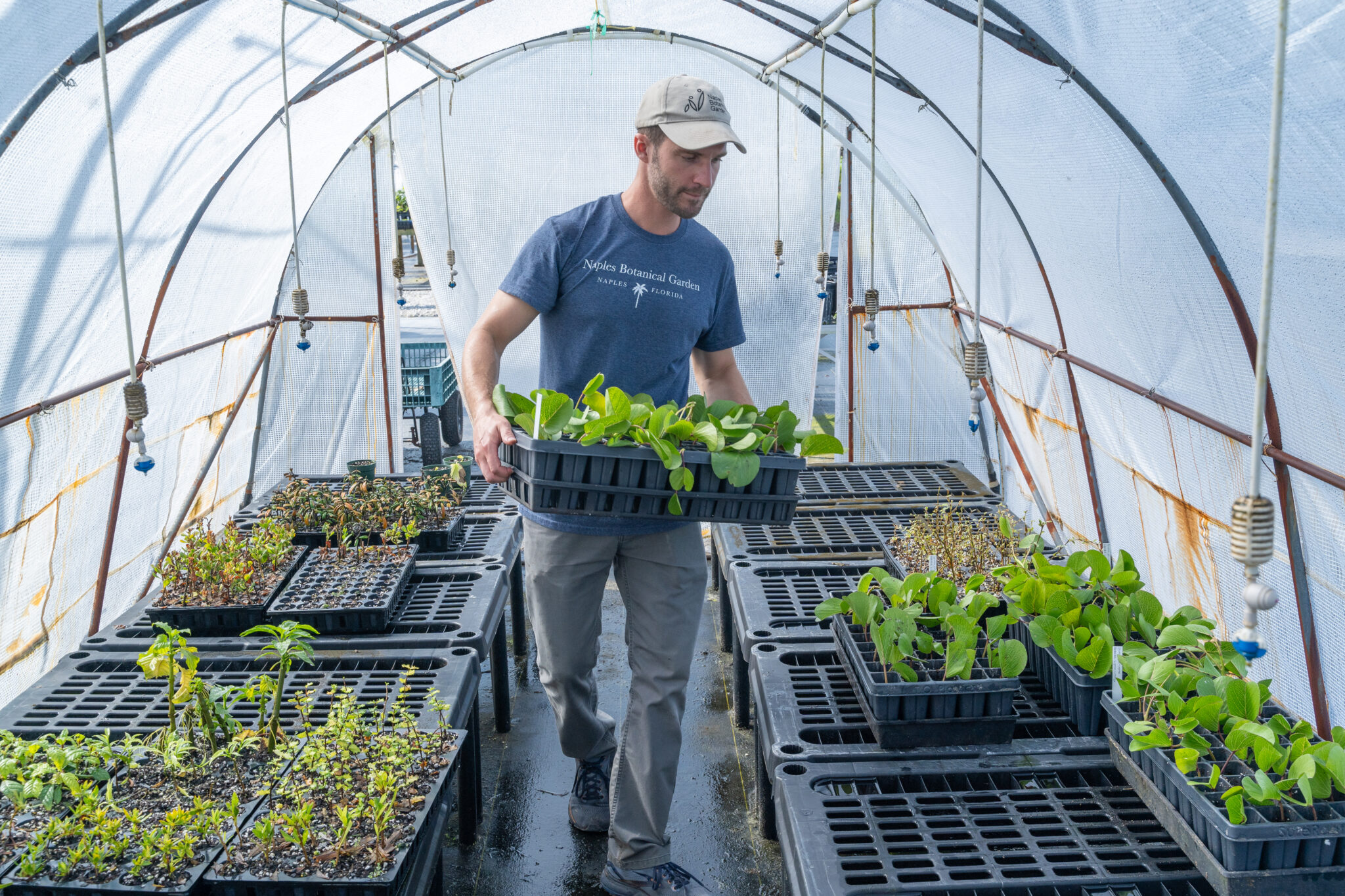 Seed Collecting & Conservation Horticulture | Naples Botanical Garden