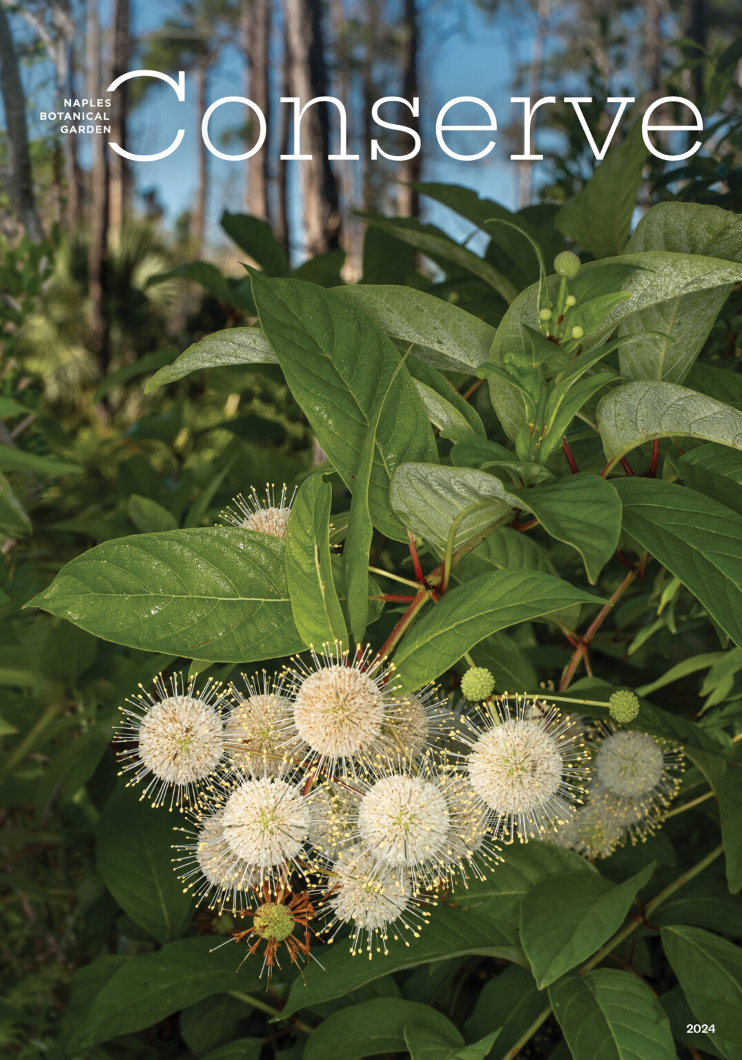 Conservation | Naples Botanical Garden