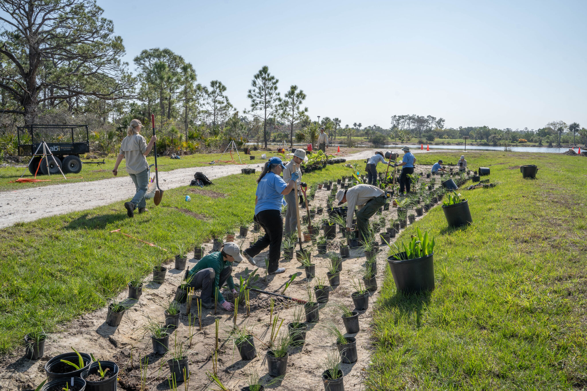 Discover the Garden’s Solution to Dirty Runoff Water: Plants! | Naples ...