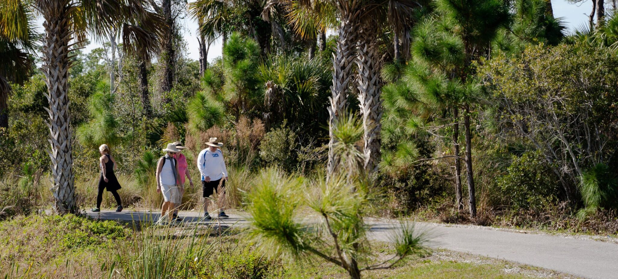 The Preserve | Naples Botanical Garden
