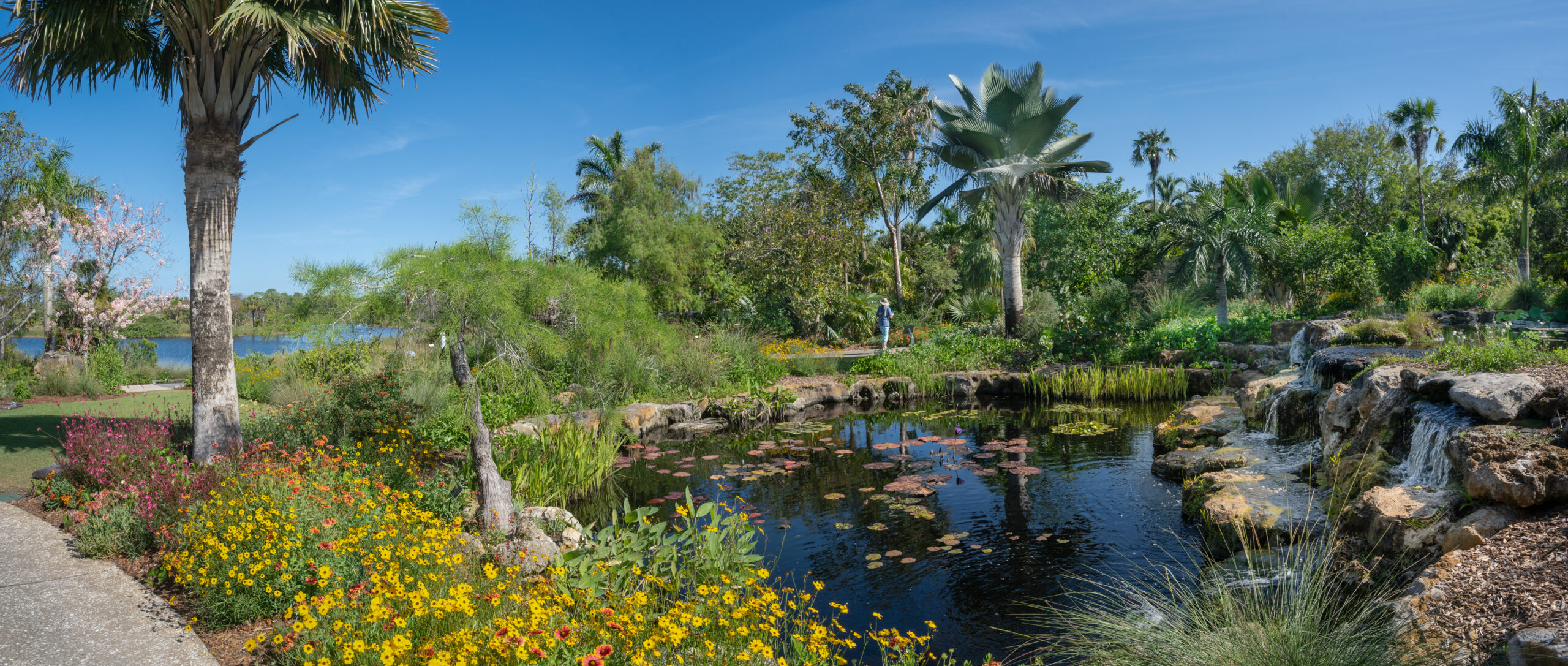 Karen and Robert Scott Florida Garden | Naples Botanical Garden