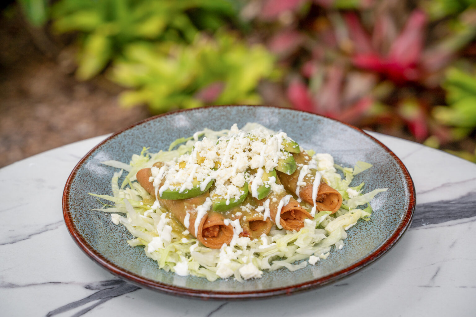 From the Fogg Café Family to Yours | Naples Botanical Garden