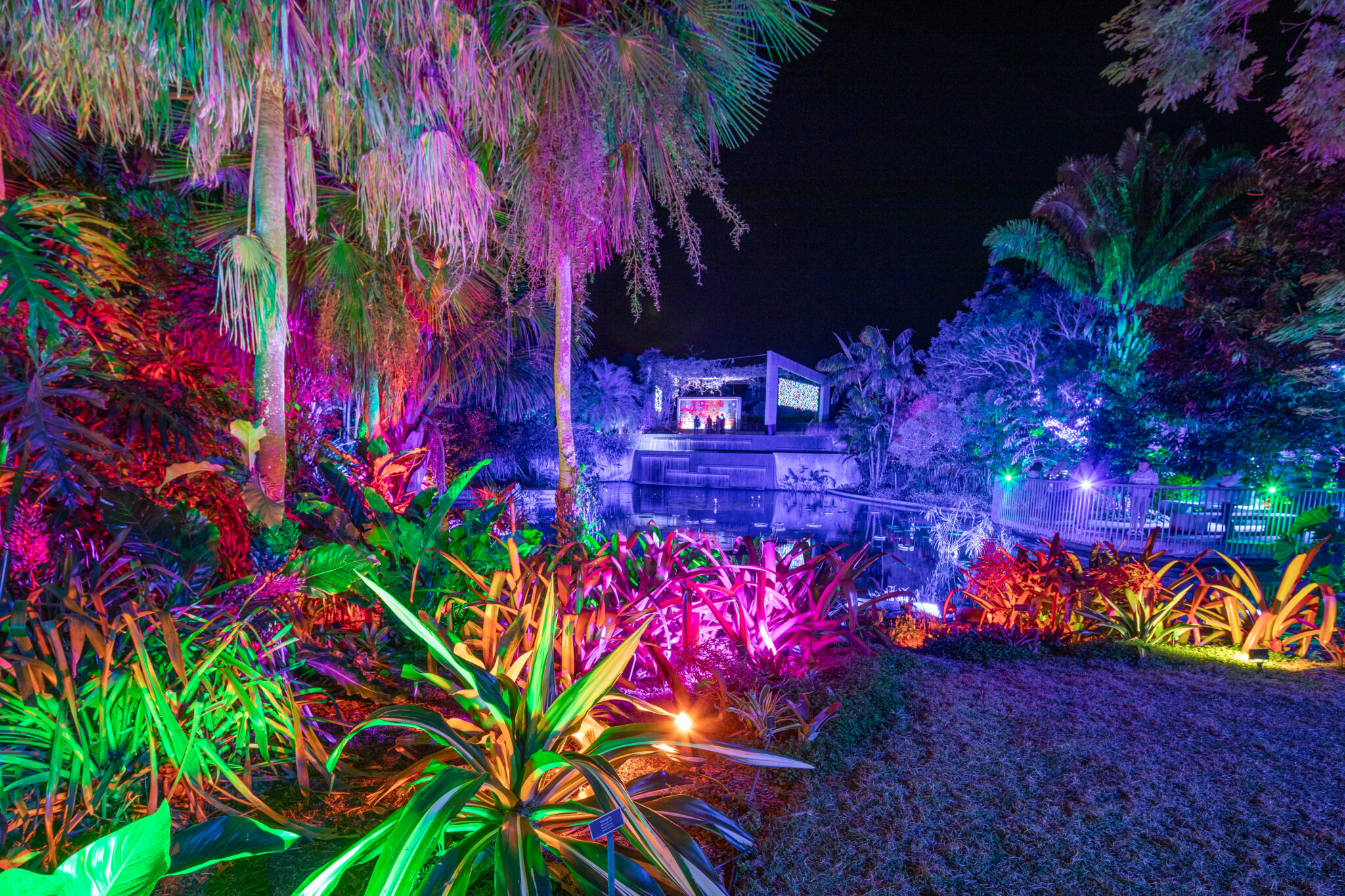 Johnsonville Night Lights in the Garden | Naples Botanical Garden