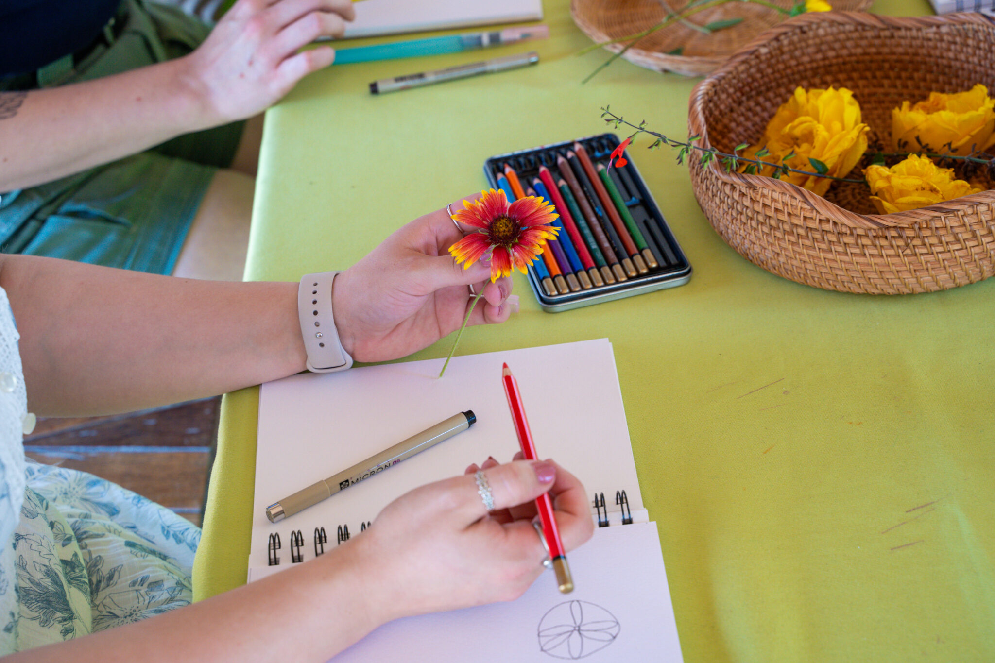 Garden Workshops | Naples Botanical Garden