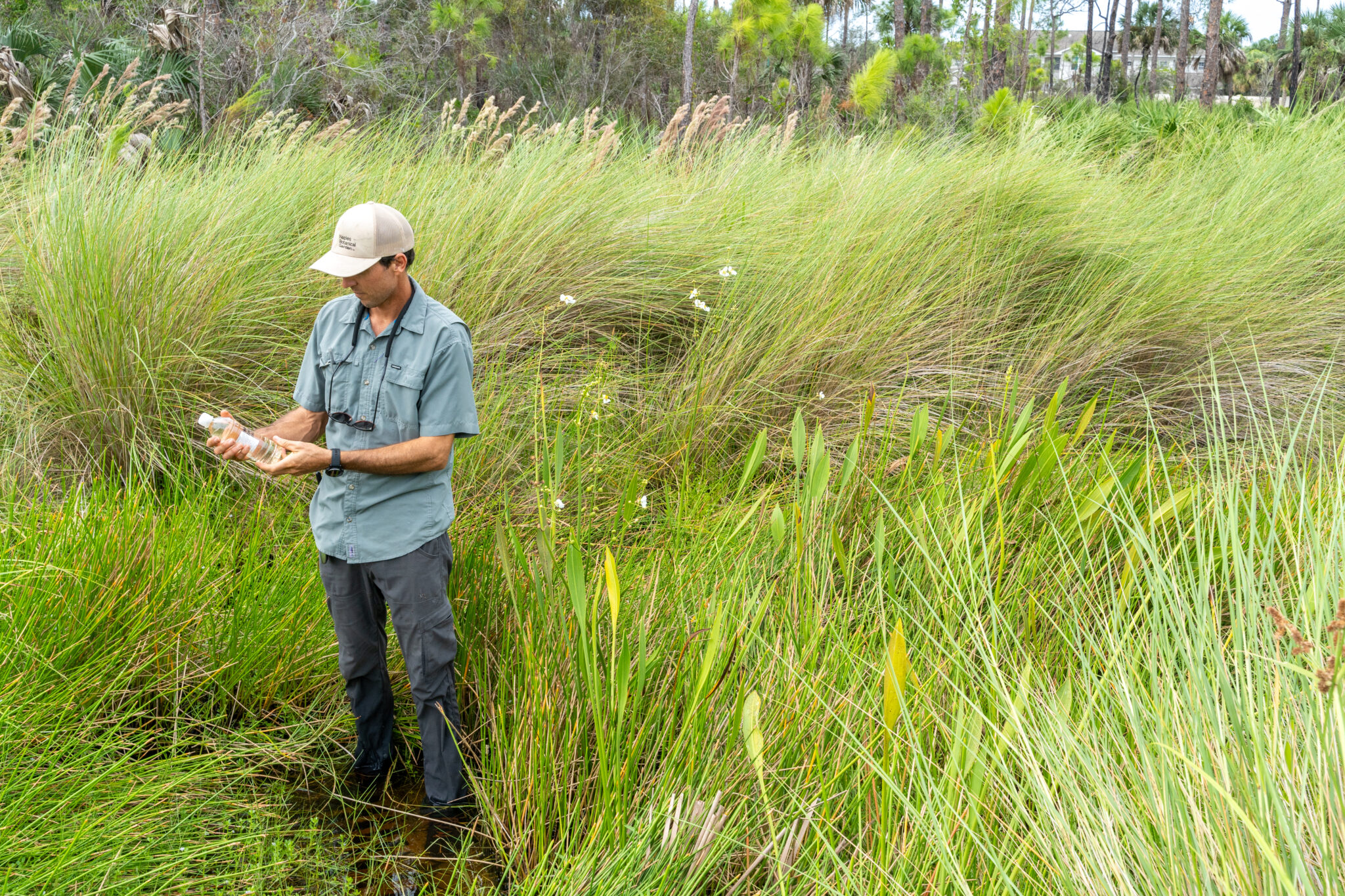 Conservation | Naples Botanical Garden