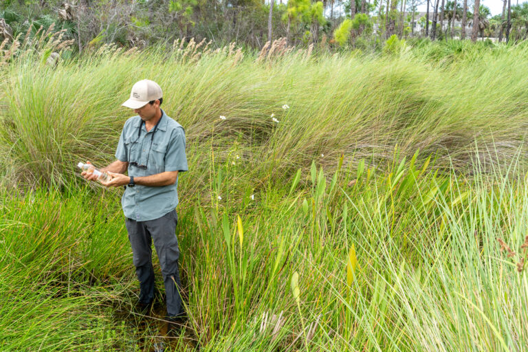 Conservation | Naples Botanical Garden