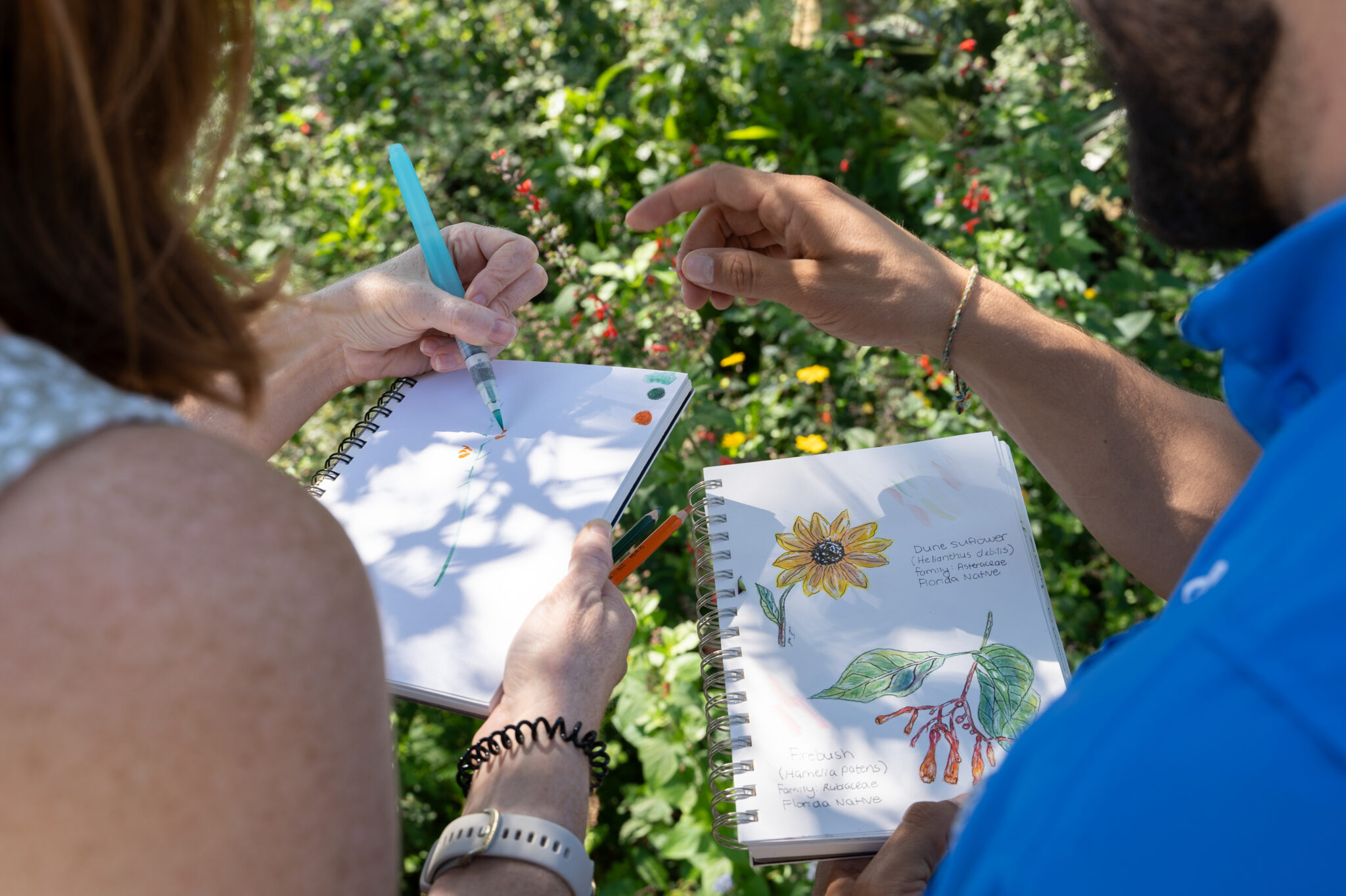 Virtual Nature Journaling: Botany Through Art Culminating Exhibit ...