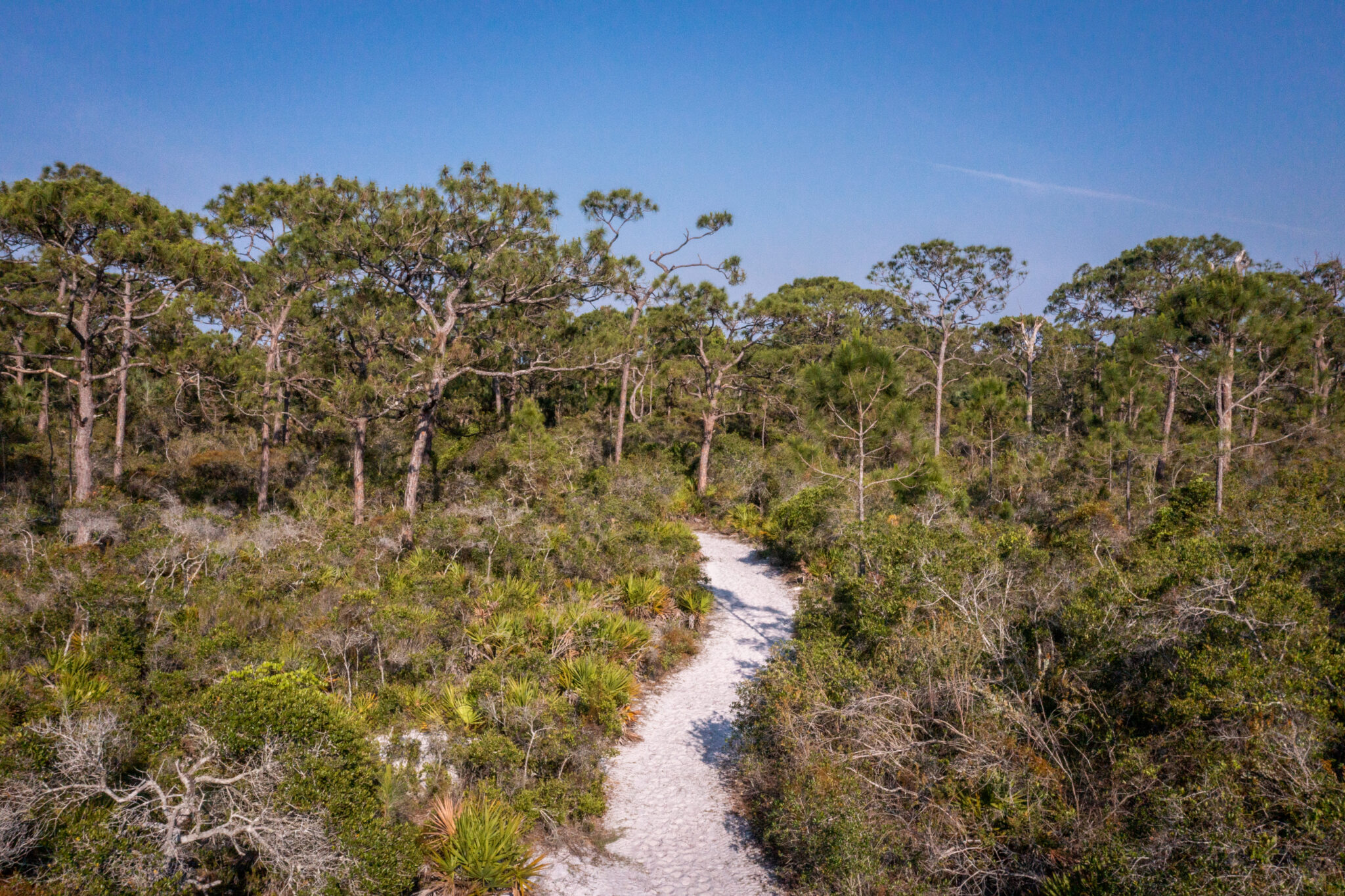 The Preserve | Naples Botanical Garden