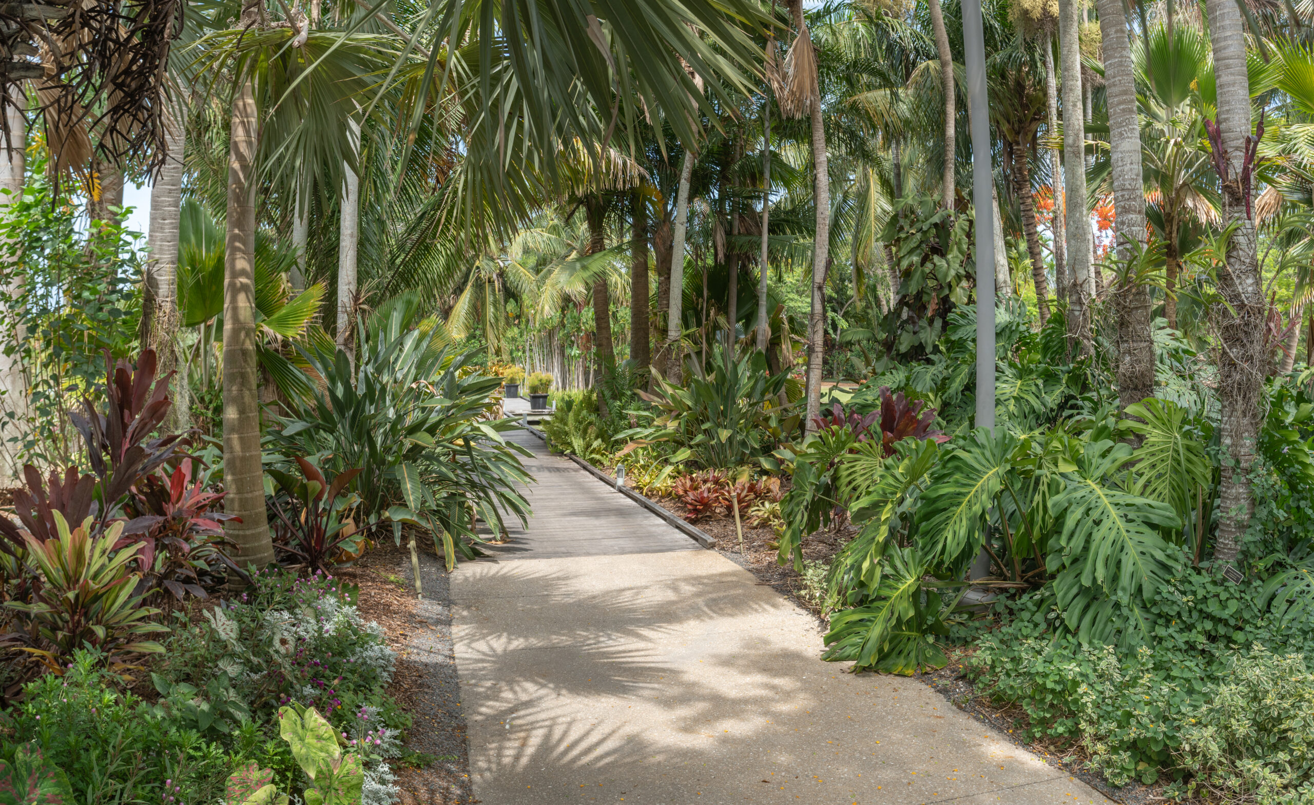 Garden Maps | Naples Botanical Garden